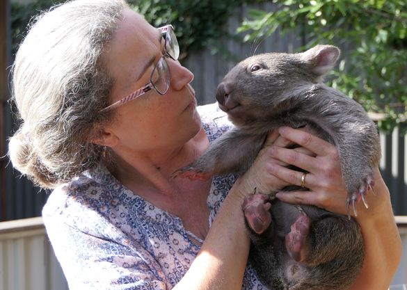 ACT Wildlife | Rescue, Rehabilitate, Release